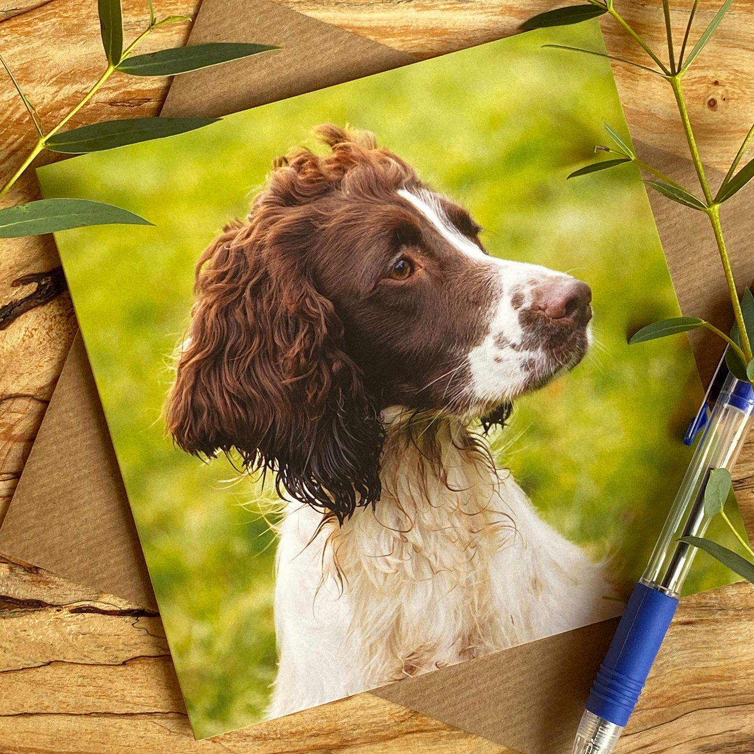 Springer Spaniel Greeting Card Did You Call Greeting Card - Etsy UK