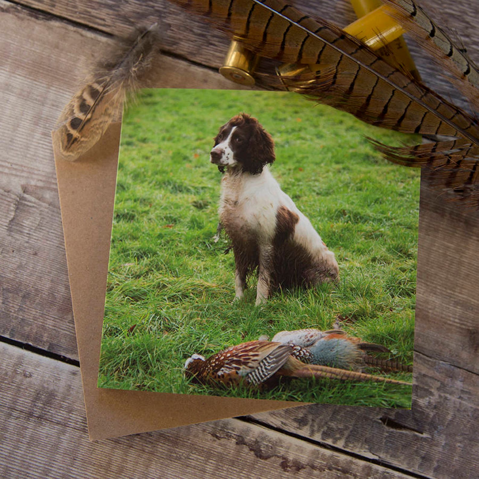 Pack of 10 Pheasant Shoot Greeting Cards - Etsy UK