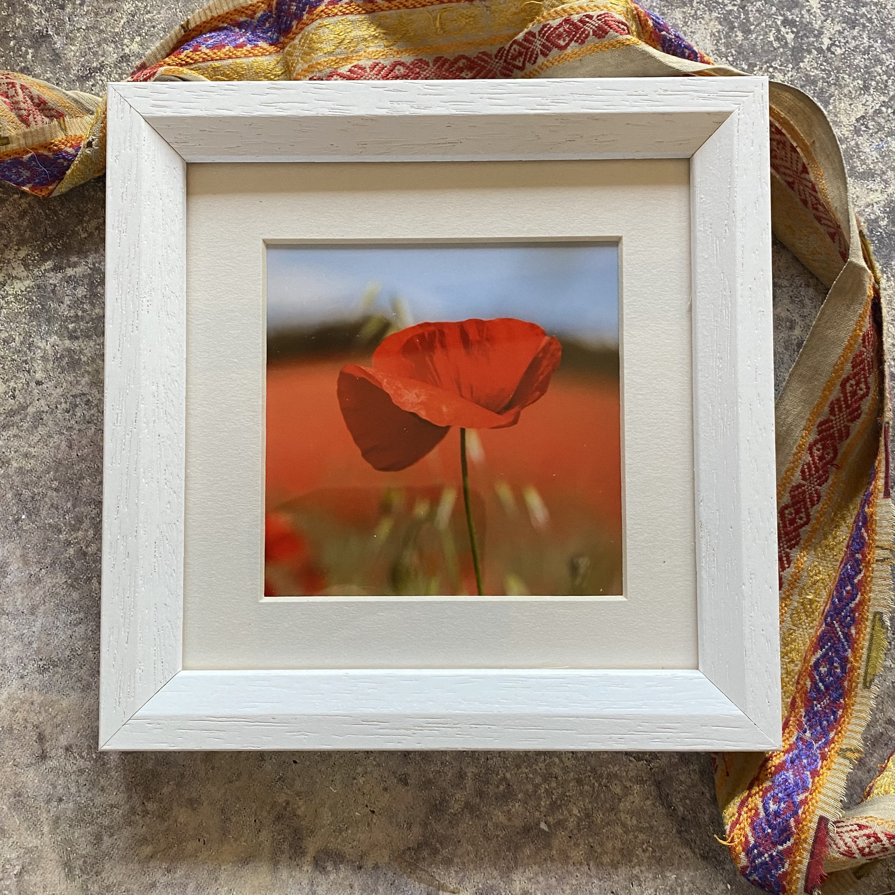 Poppy Photo Print in White Frame Poppy Wall Art Poppy - Etsy