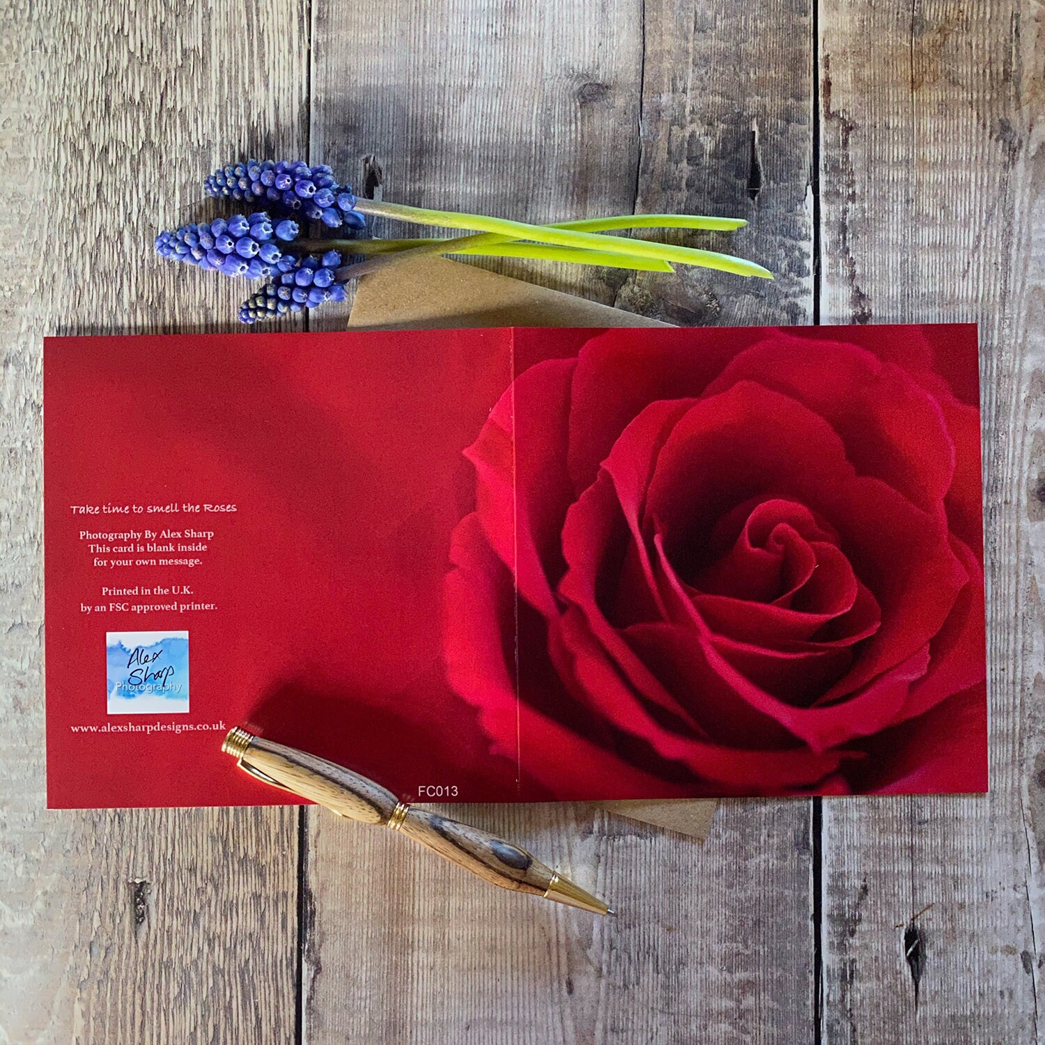 Red Rose Card Close up of Single Red Rose on Greeting Card Love Card ...