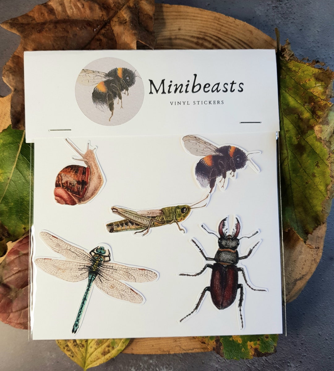 Minibeasts, Wildlife Stickers. - Etsy UK