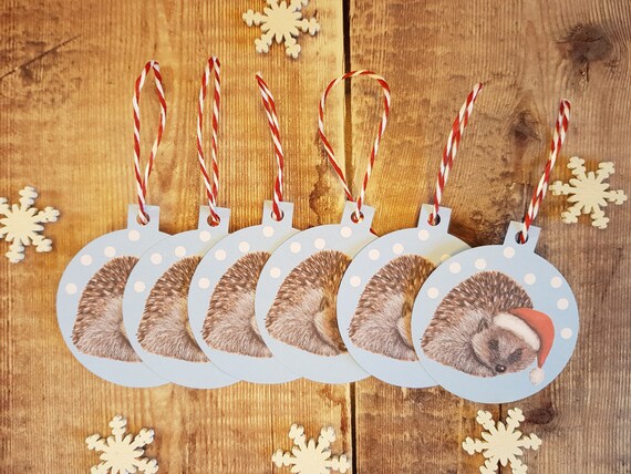 Hedgehog Gift Tags Cute Messy Hedgehog Christmas Gift Tags | Zazzle