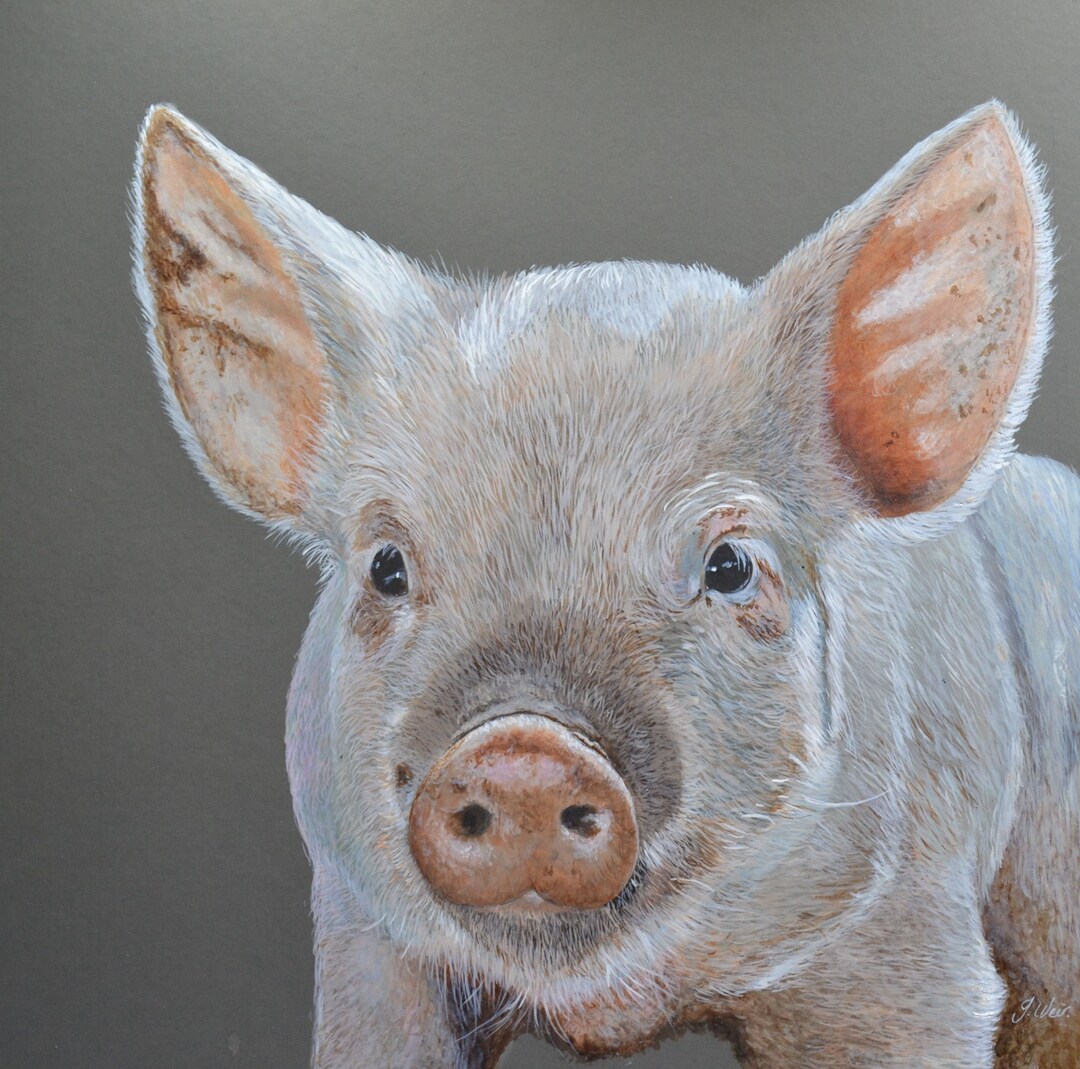 Pig Print - Farm Animal Print - Painting - Farm Artwork - Wall Art ...