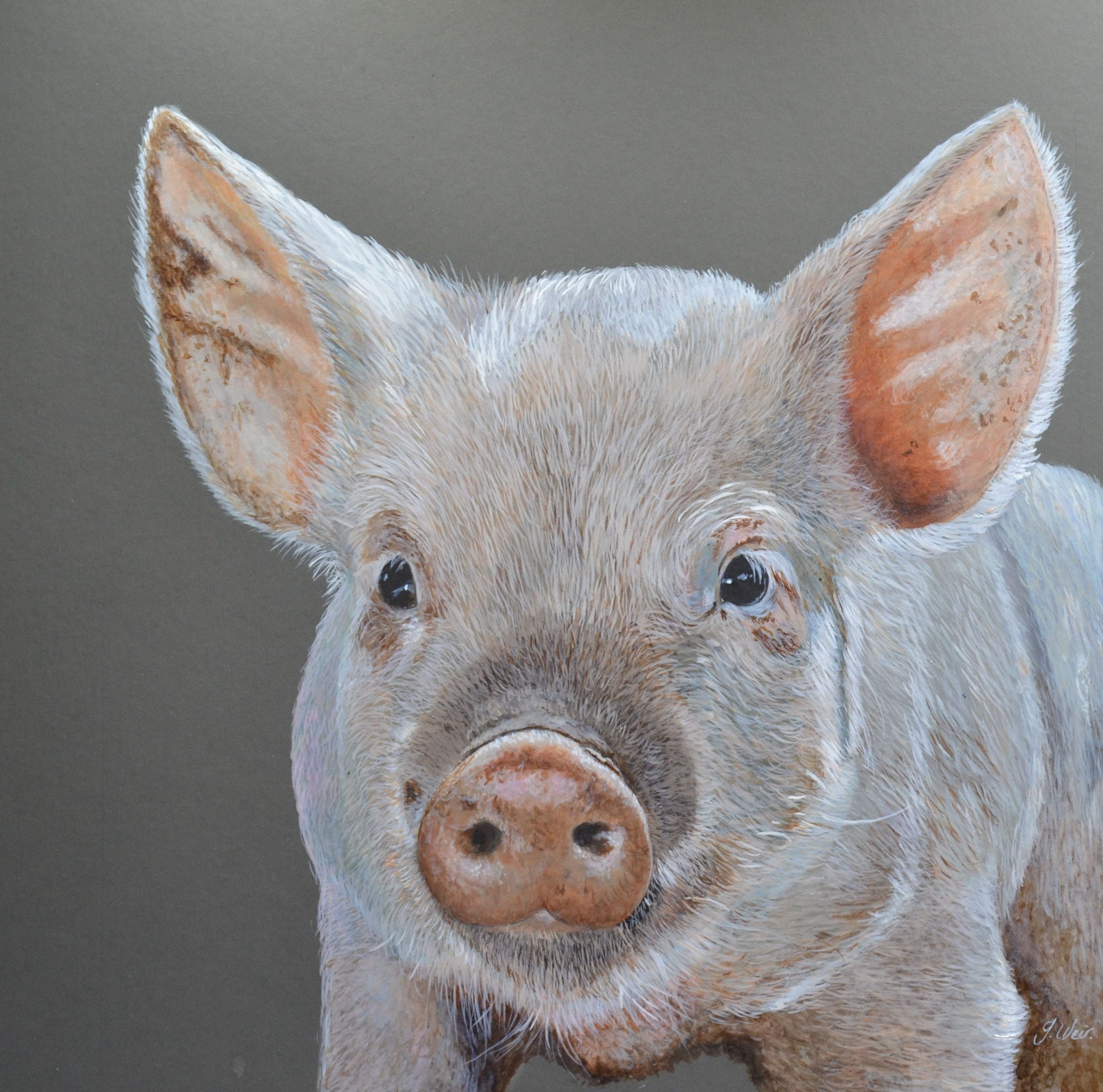 Pig Print Farm Animal Print Painting Farm Artwork Wall Art Nature Lover ...