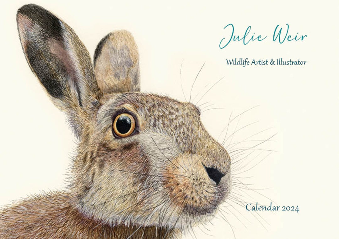2024 Wall Calendar by Julie Weir - Wildlife Art Calendar - Artist ...