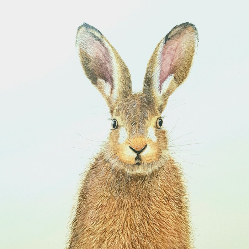 Hare Print - A3 Print - Hare Painting - Jackrabbit - Hare Illustration ...