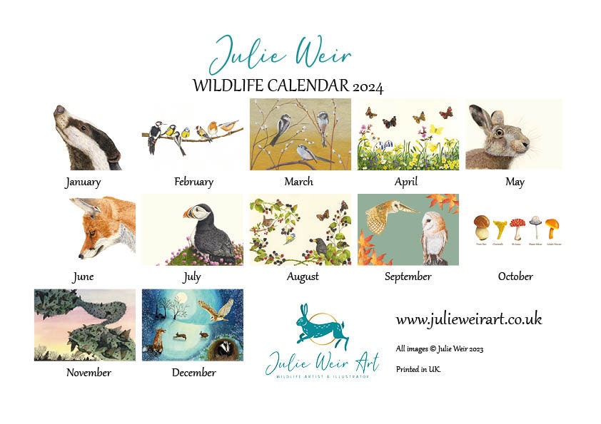 2024 Wall Calendar by Julie Weir - Wildlife Art Calendar - Artist ...