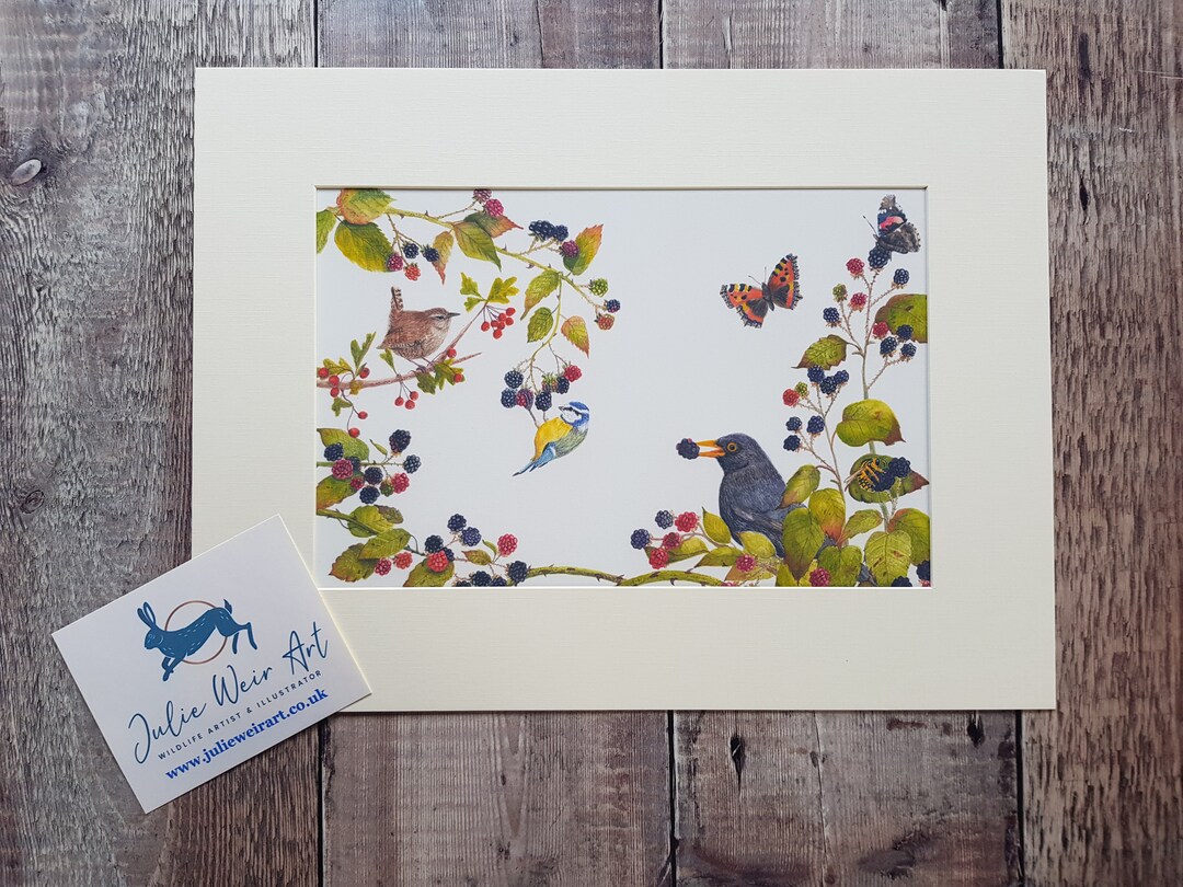 Hedgerow Print - Wren Print - Blackbird Print - Blackberry Print - Blue ...