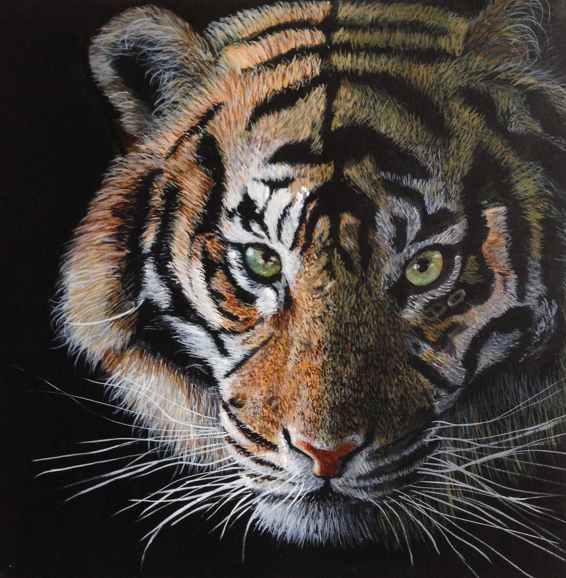 Giclée tiger picture Tiger limited-edition print Prints etna.com.pe