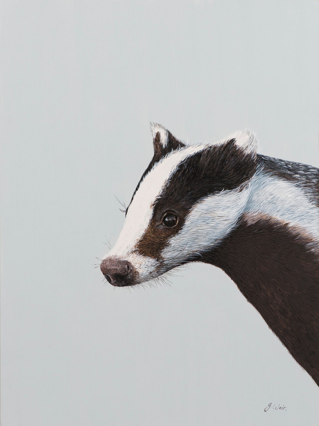 Badger Print - A4 Size - Giclee Print - Wildlife - Nature Lover ...