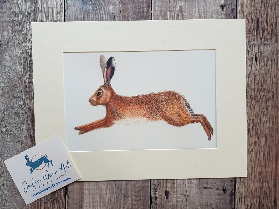 Hare Print - Hare Painting - Hare Watercolour - Hare Picture - Rabbit ...