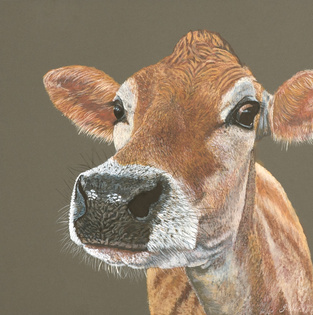 Jersey Cow Print- Animal Print - Cow - Farmyard Animals- Jersey Cow ...