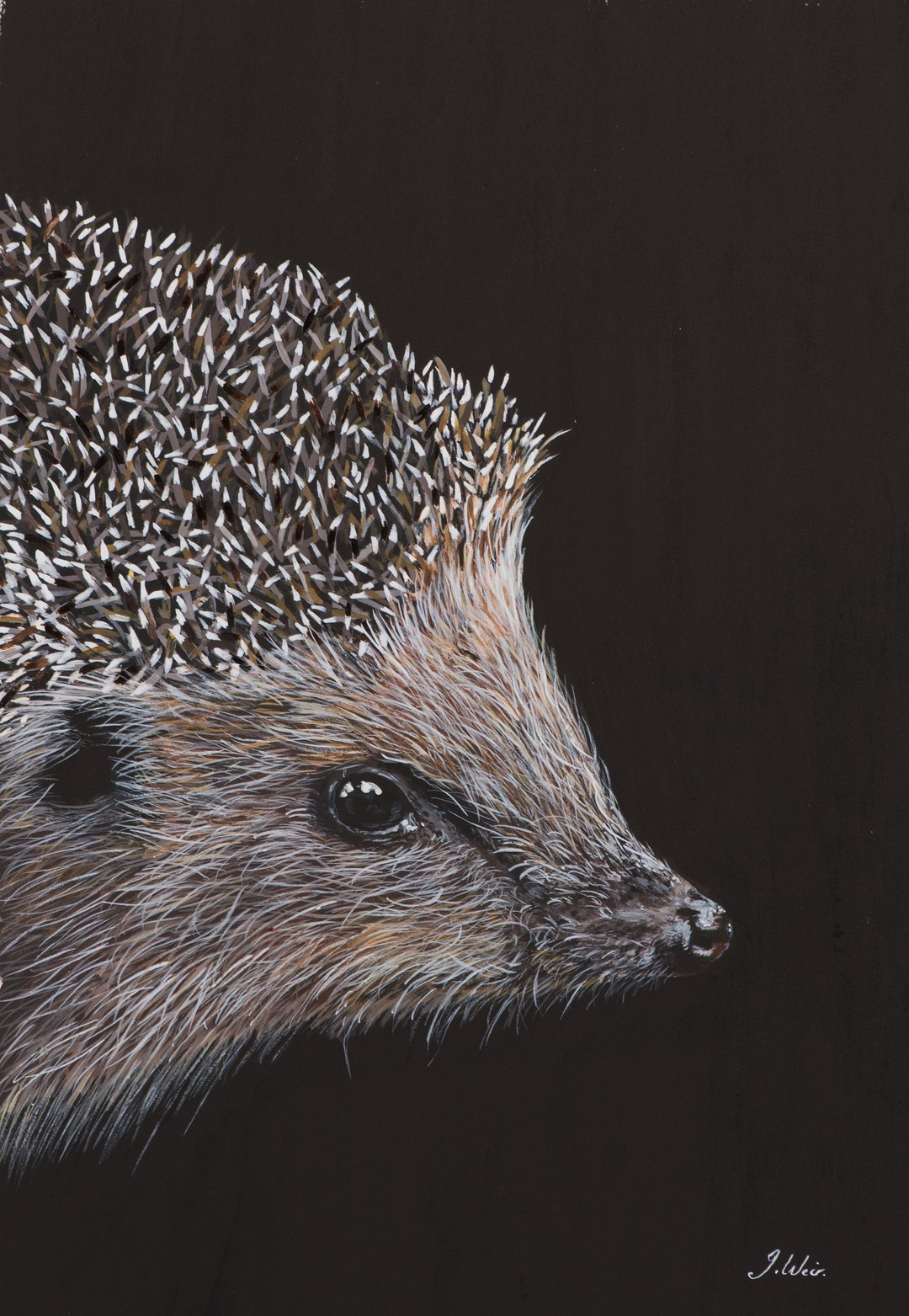 Hedgehog Print - A4 Size - Wildlife Print - Painting - Wall Art ...