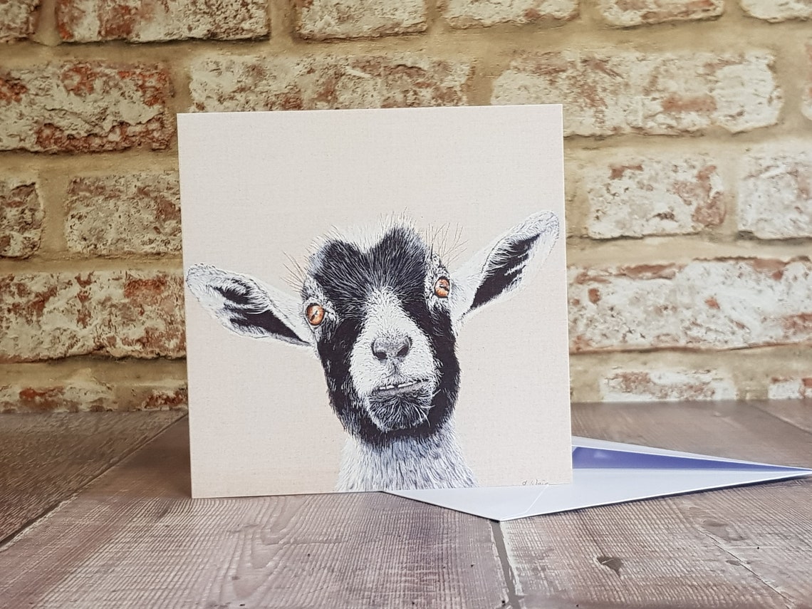 Goat Card - Blank Card - Greetings Card - Farm Animal - Etsy UK
