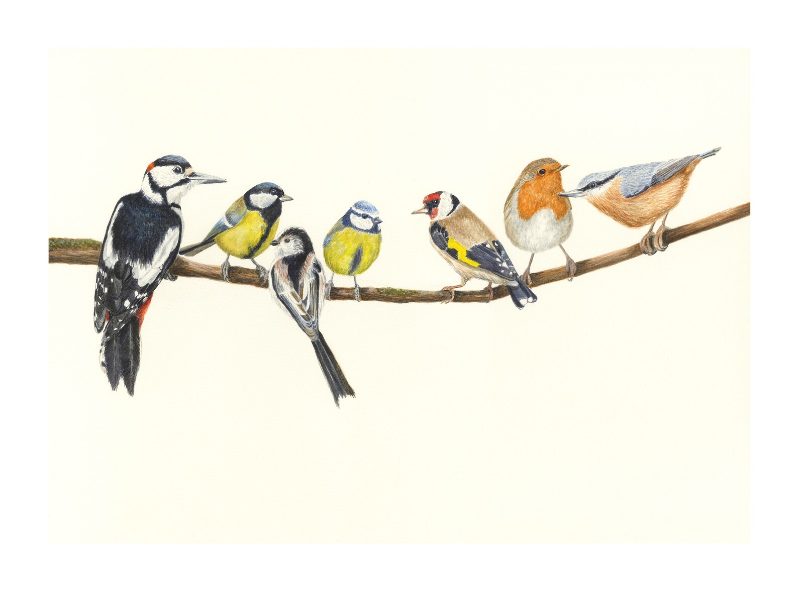 Watercolour Bird Print - Bird Art - Bird Print - Woodpecker - Nuthatch ...