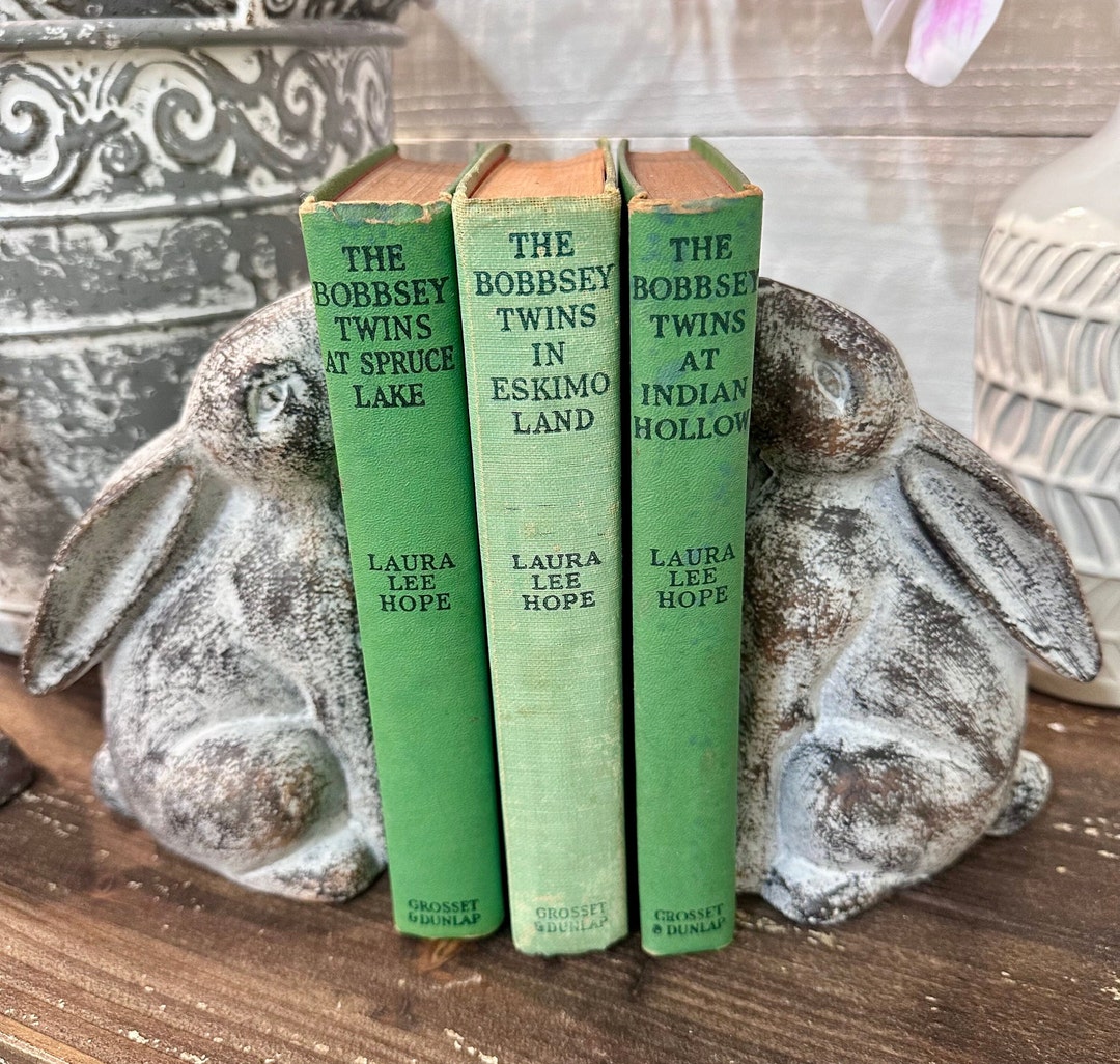 Large Set of Bunny Booked, Easter Bunny Rabbit Desk Decor Bookend - Etsy