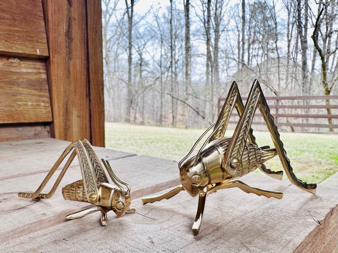 Set of 2 Good Luck-solid Brass Cricket - Etsy