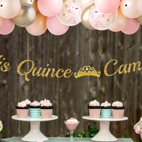 Mis Quince Banner Quinceanera Decorations Mis Quince Anos - Etsy