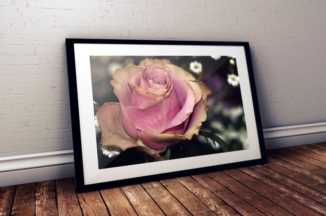 Digital Print Pink Rose Printable Art Flower Print Still Life Print ...