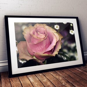 Digital Print Pink Rose Printable Art Flower Print Still Life Print ...