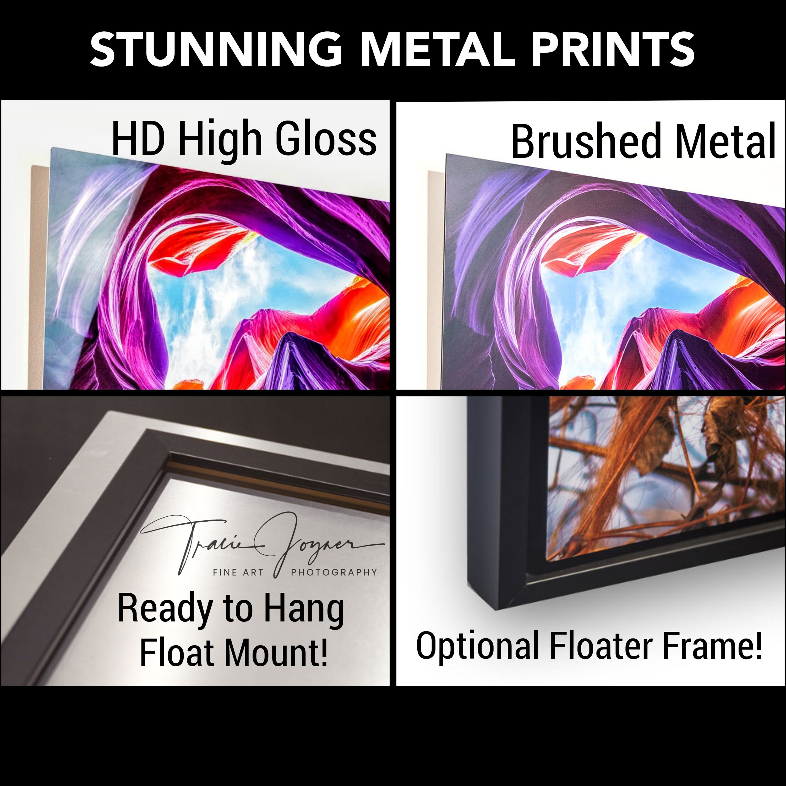 SEA TURTLE CYANOTYPE Coastal Artwork Panoramic Wall Art - Etsy