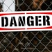 Danger Sign Stencil for Sign Painting, Warning Stencil for Wood Sign ...