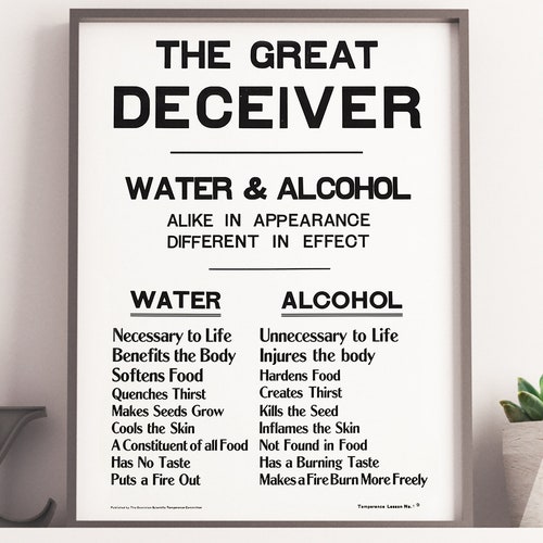 Vintage Bar Poster ALCOHOL PROHIBITION POSTER Whisky Beer Bar - Etsy