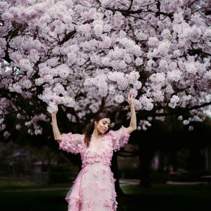 April Flowers Dress - Pre-order-magical Dresses for Special Moments ...