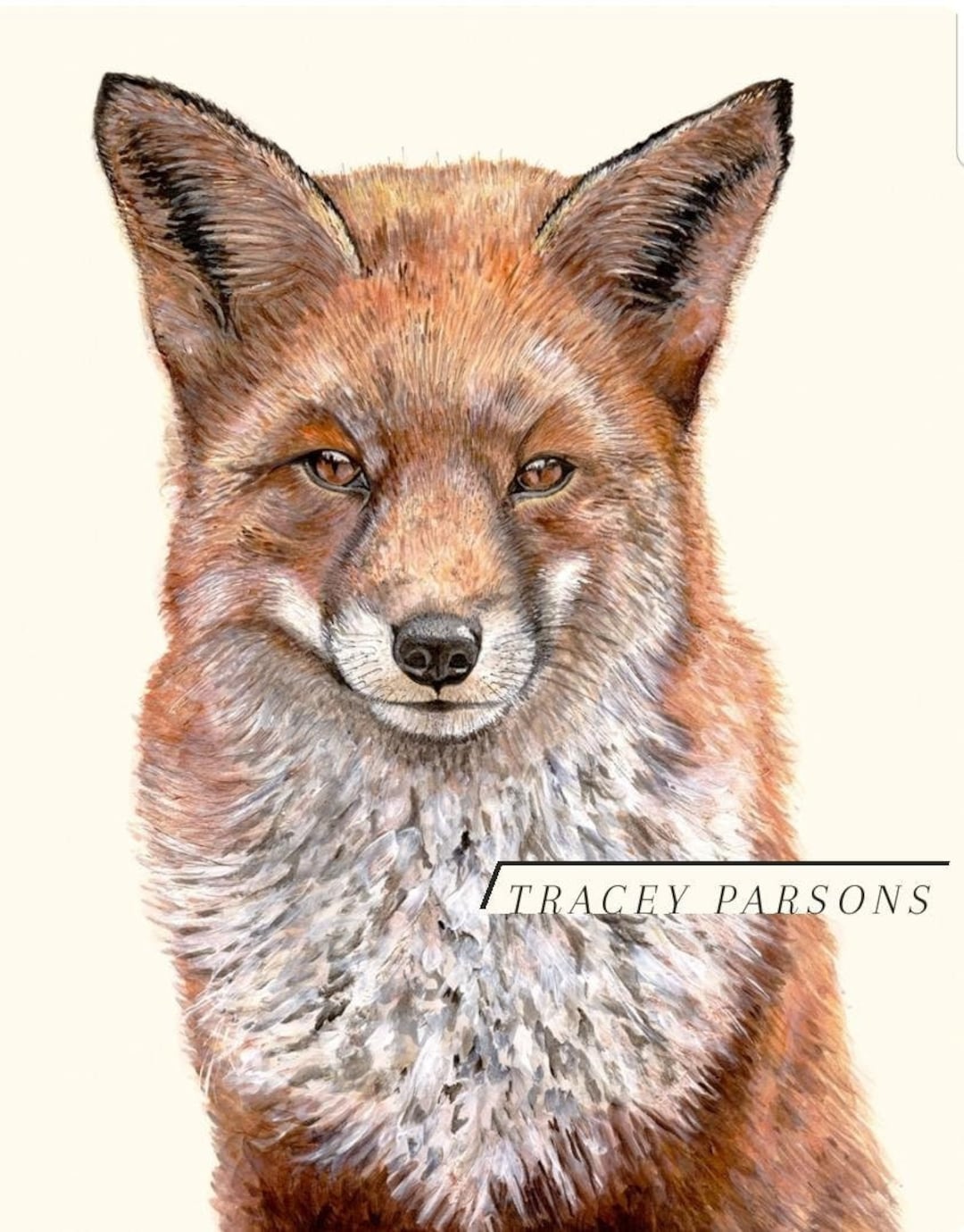 Red Fox Signed A4 Print From Original Artwork by Tracey Parsons - Etsy