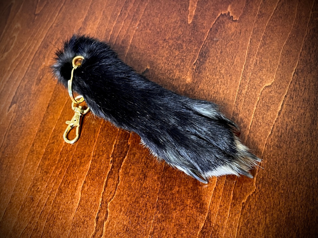 Soft Mount Red Fox Paw Taxidermy Keychain - Etsy