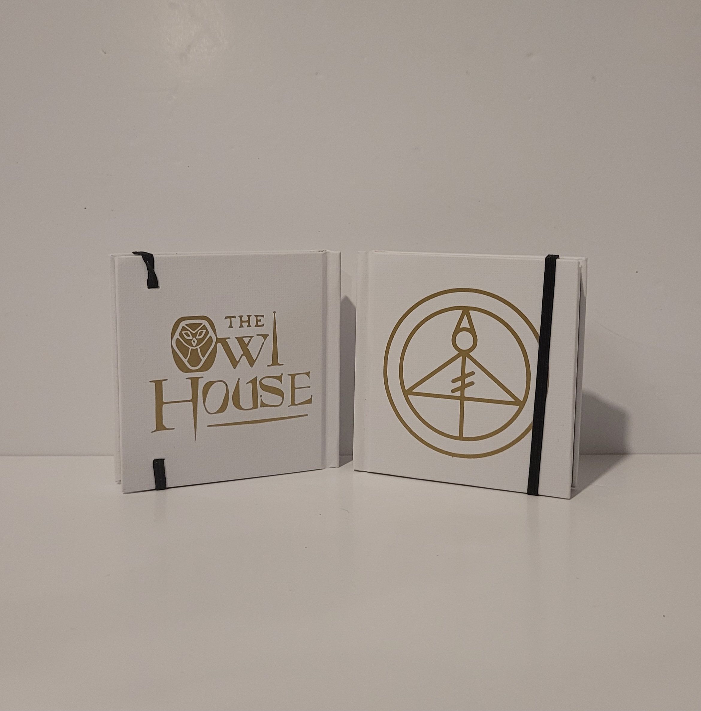 The Owl House Sketch Book Set - Etsy