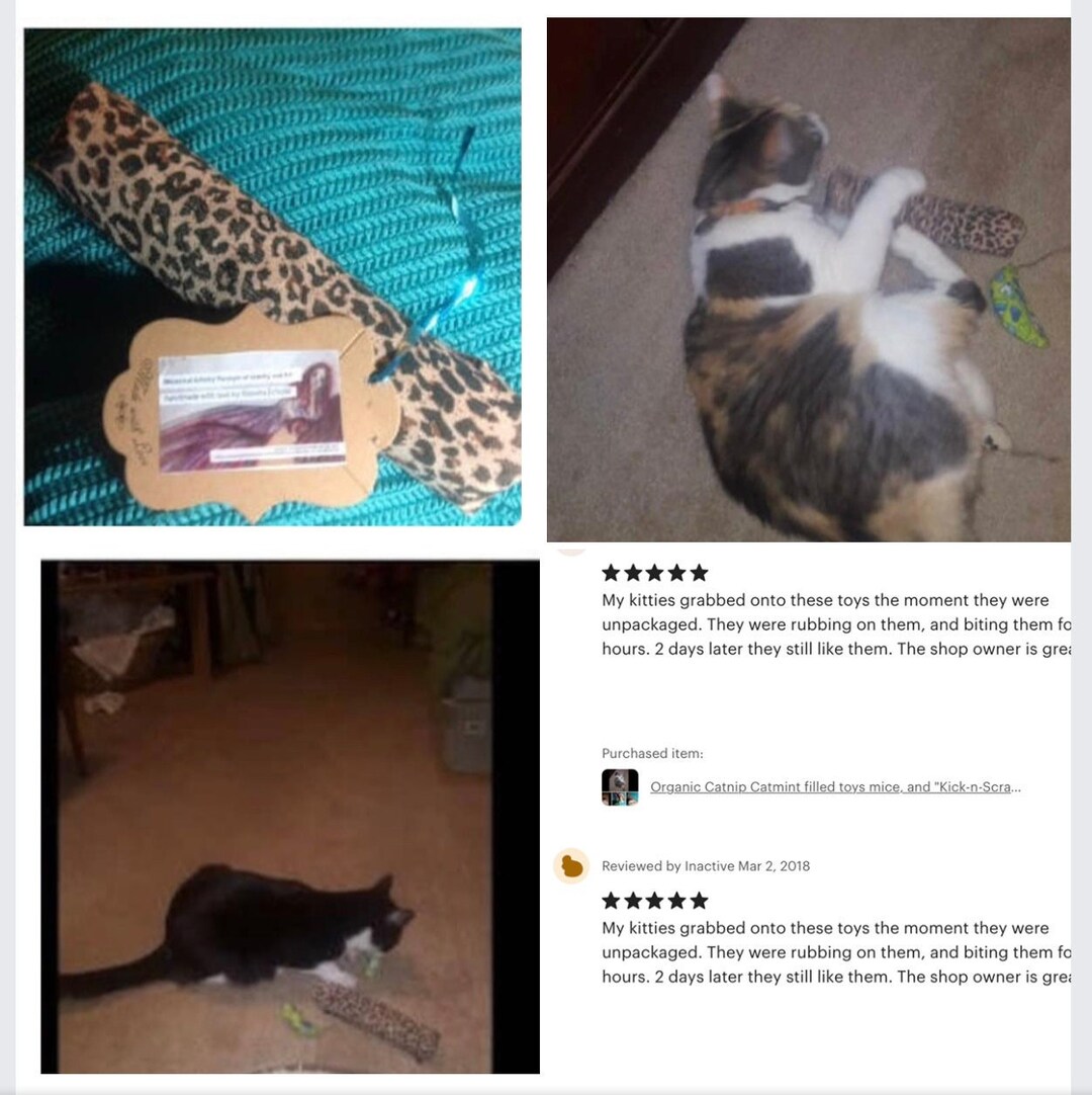 Organic Catnip Catmint Filled Toy Called a Kick-n-scratch" Tubes With ...