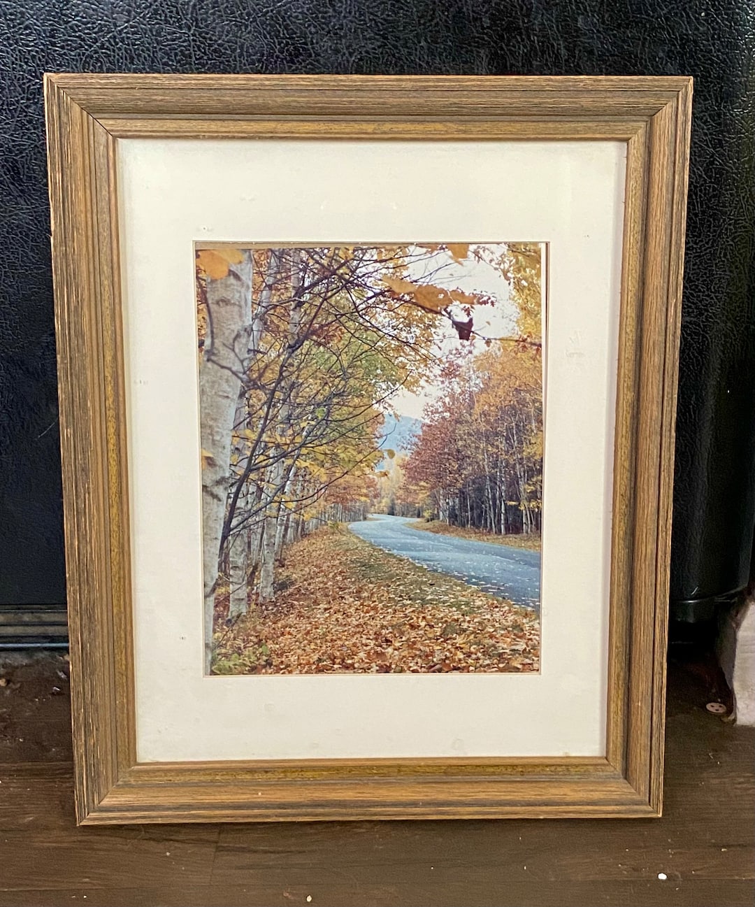 Vintage Framed Photograph of Arcadia National Park Maine From 1991 ...