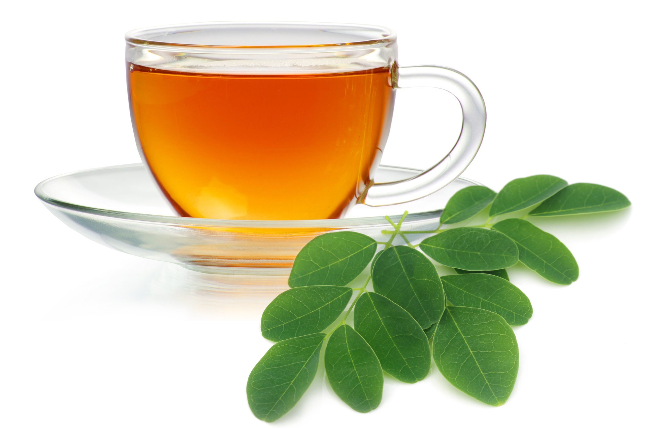 Moringa Tea 3-pack 90 Bags Great for Energy Nutrition in - Etsy