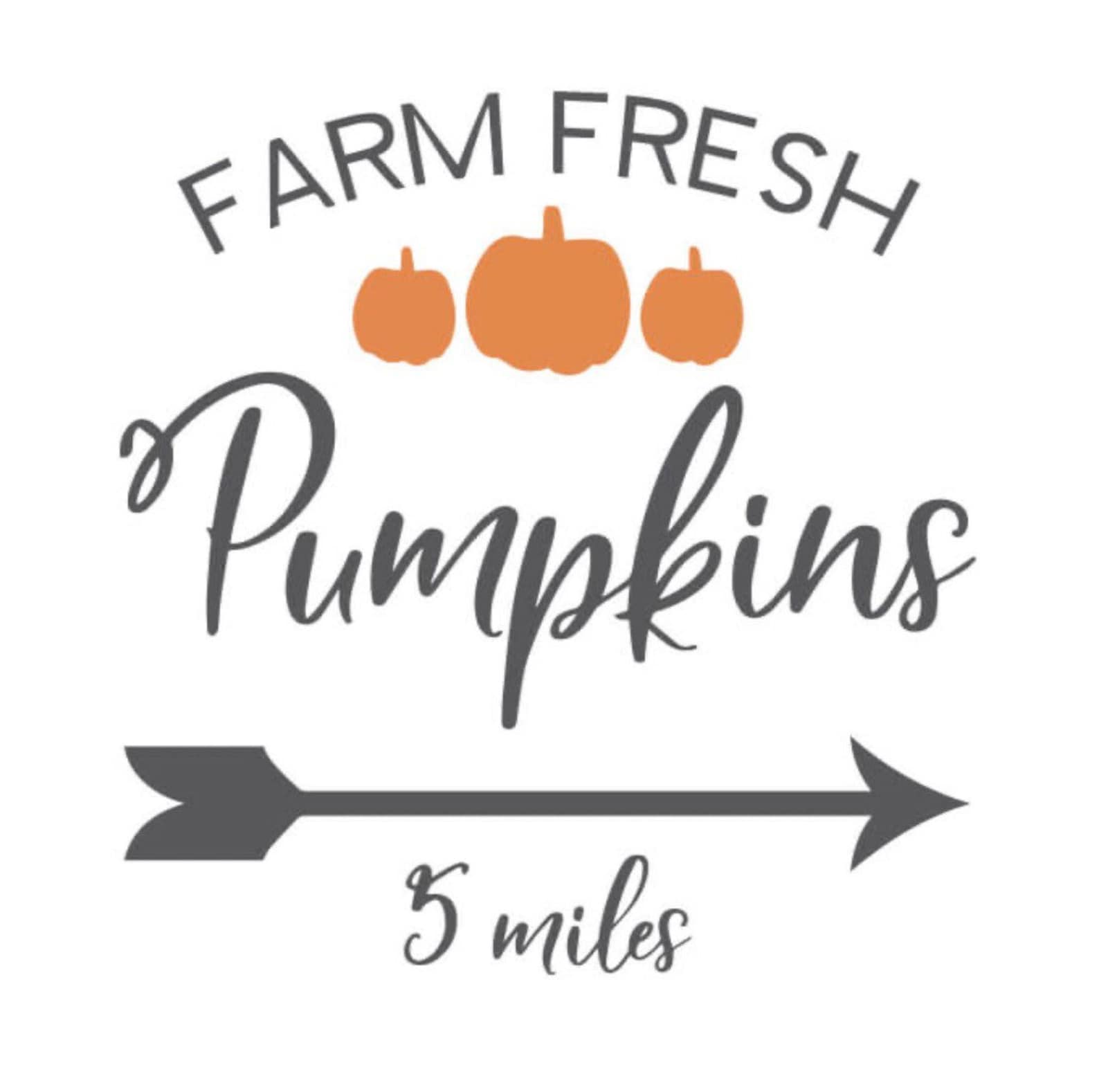 Farm Fresh Pumpkin Vinyl Decal | Fall Farmhouse Decor - Etsy