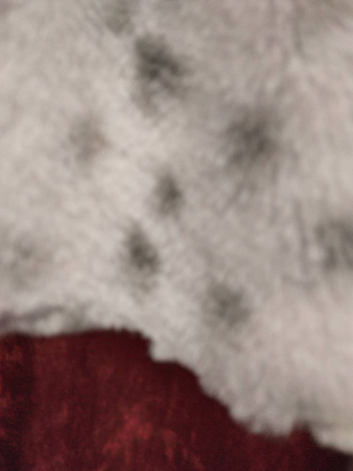 Grinch Mayor of Whoville Costume Mayor Augustus Maywho - Etsy