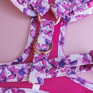 DOG HARNESS | Candy Sky Butterfly - Pink Butterflies | Neck Adjustable ...