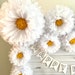 Giant Tissue Paper Daisies Set of 9 Paper Flowers, for Birthday Parties ...