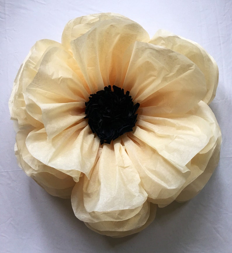 Giant Tissue Paper Flower Set in Black and Cream - Etsy