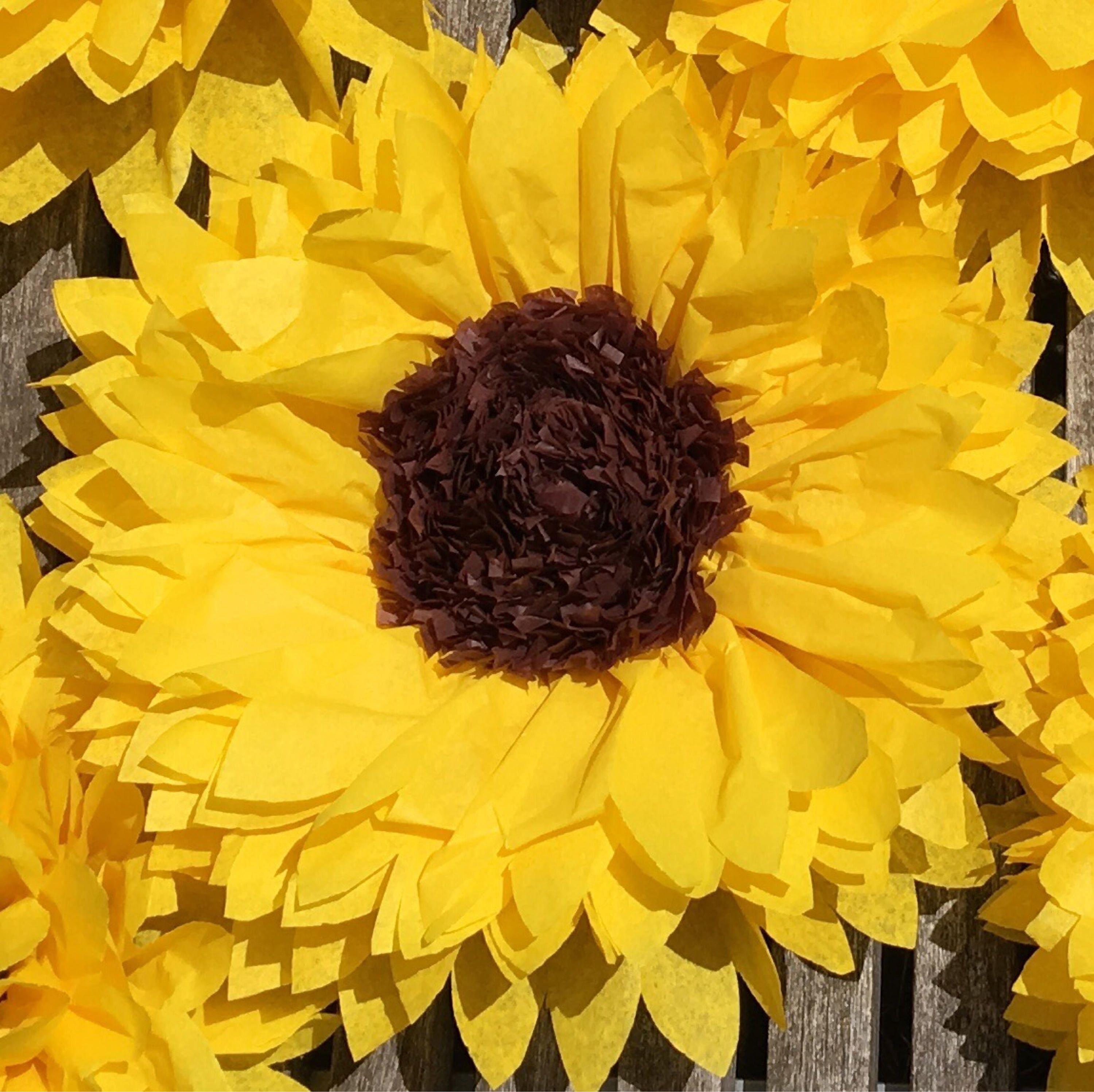 Five Large Tissue Paper Sunflowers for Photo Backdrops Rustic - Etsy