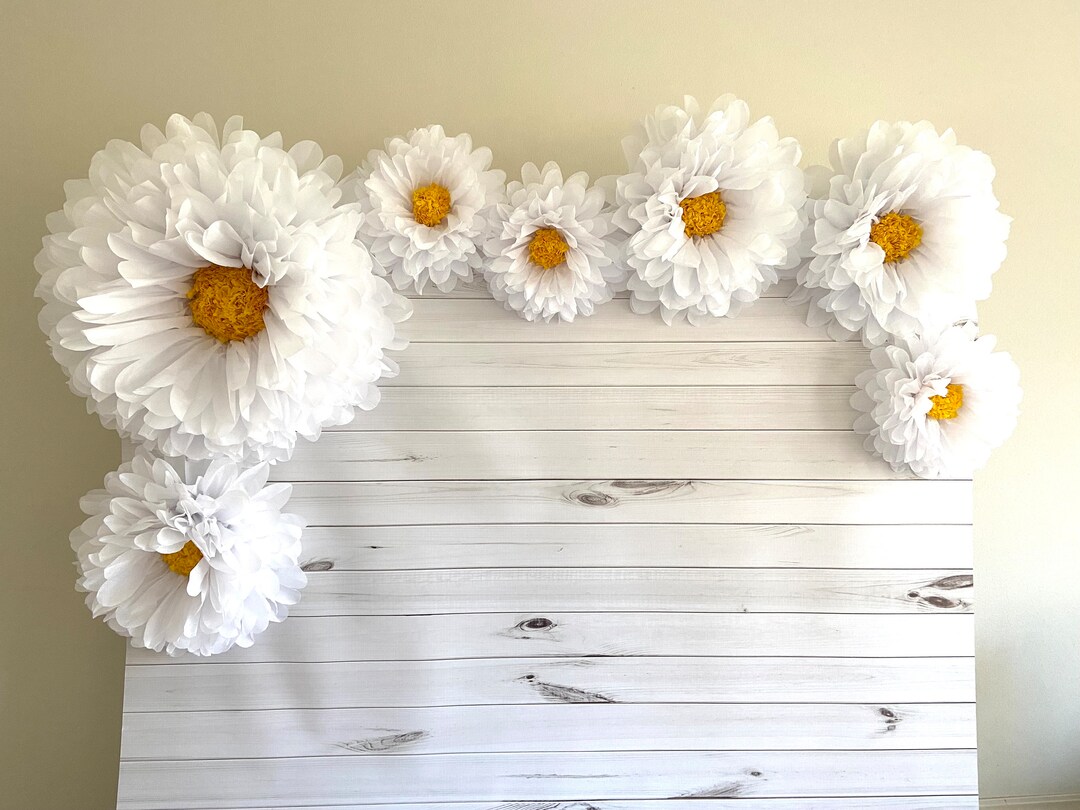 Oversized Tissue Paper Daisy Flowers Backdrop Set of 7, for Party Decor ...