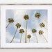 Palm Tree Prints California Palm Trees Los Angeles Wall Art - Etsy