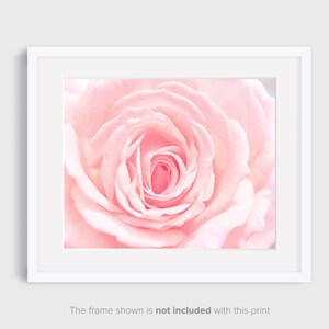 Pink Wall Decor, Shabby Chic Wall Art, Pink Kitchen Art, Nature ...