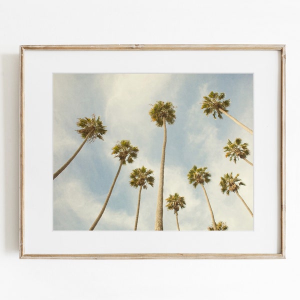 Pink Wall Decor, Shabby Chic Wall Art, Pink Kitchen Art, Nature ...