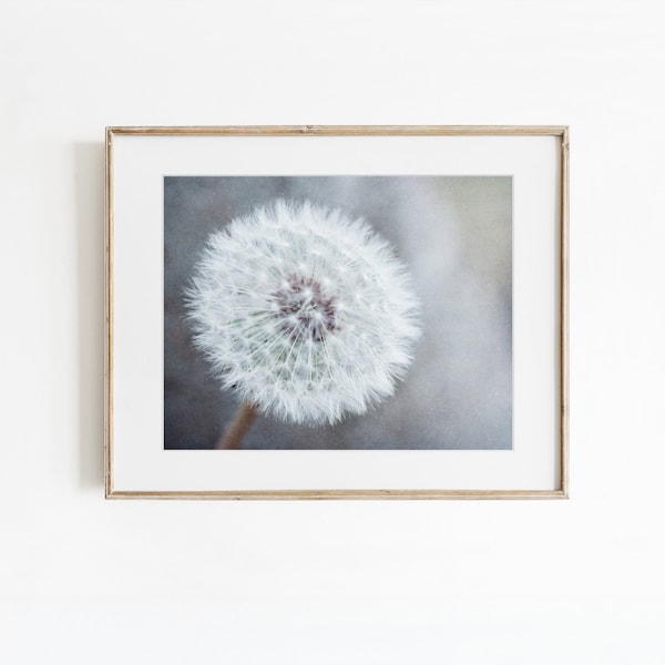 Dandelion Wall Art - Etsy