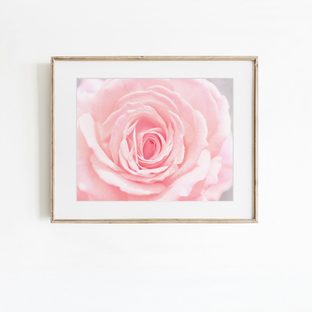 Pink Wall Decor, Shabby Chic Wall Art, Pink Kitchen Art, Nature ...