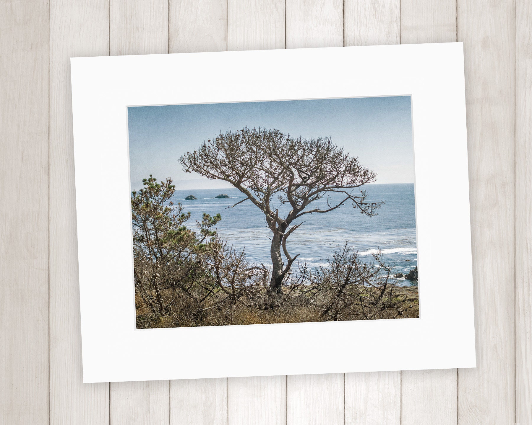 Tree Prints Tree Photography Modern Farmhouse Decor Rustic - Etsy