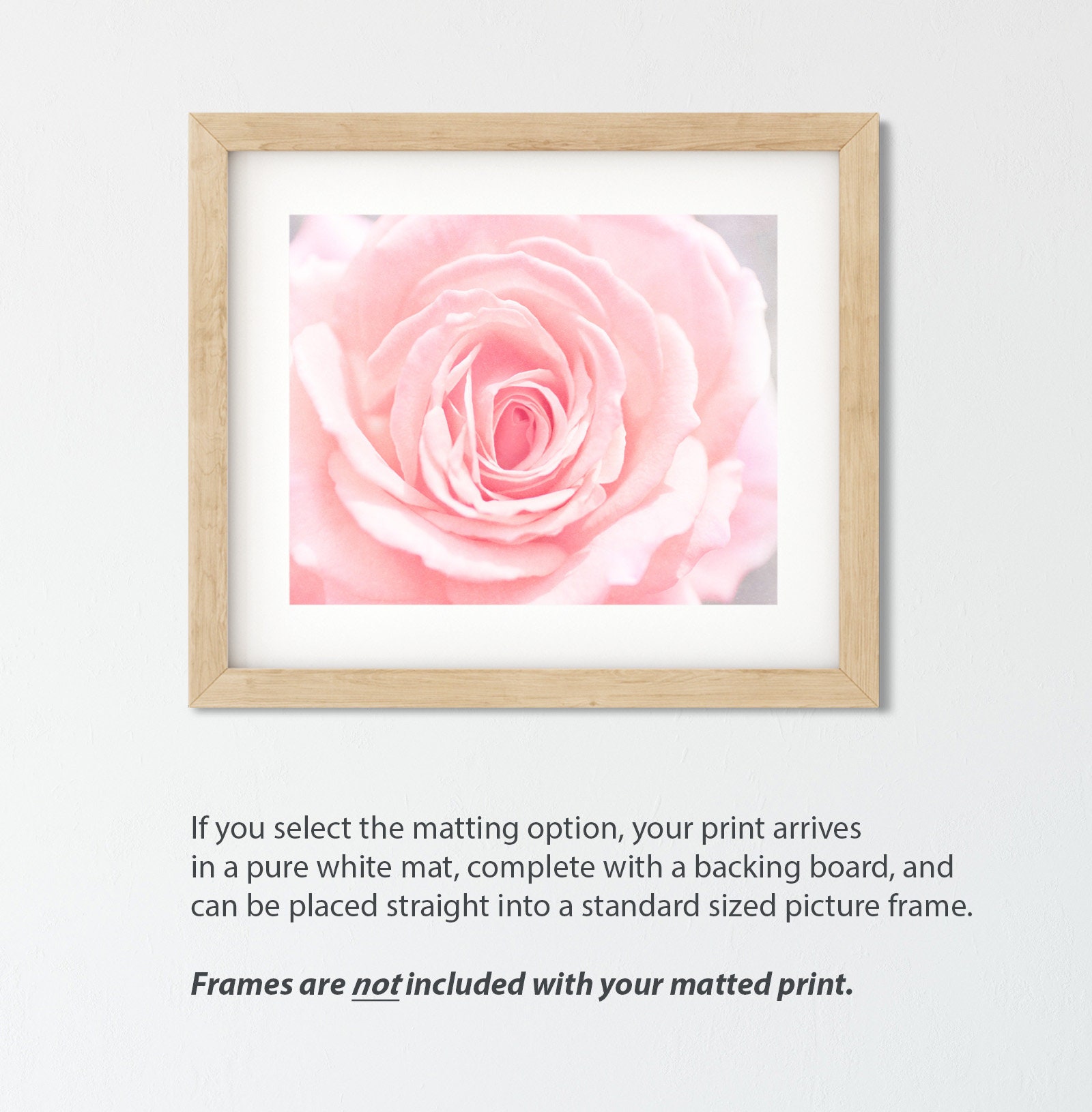 Pink Wall Decor, Shabby Chic Wall Art, Pink Kitchen Art, Nature ...