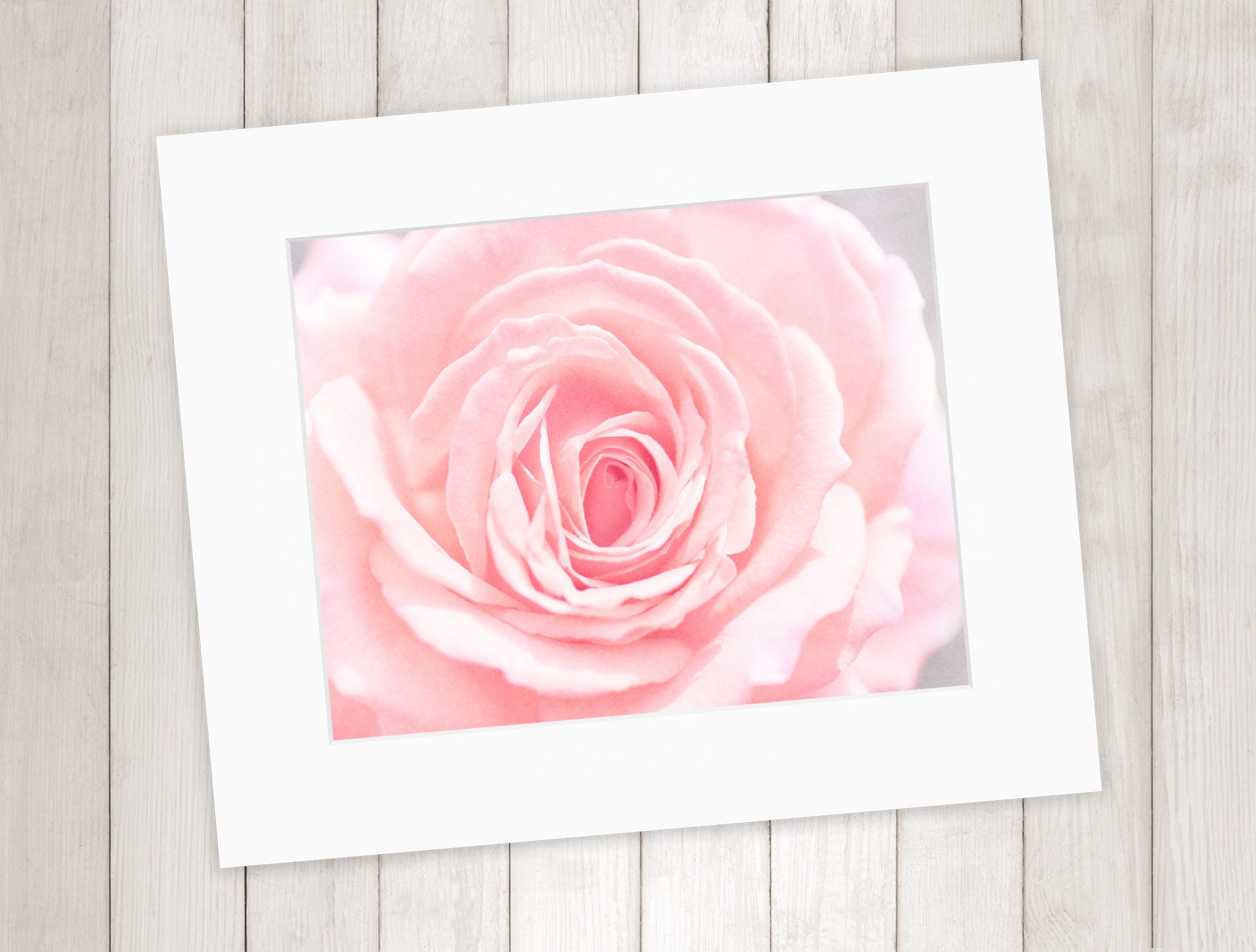 Pink Wall Decor, Shabby Chic Wall Art, Pink Kitchen Art, Nature ...