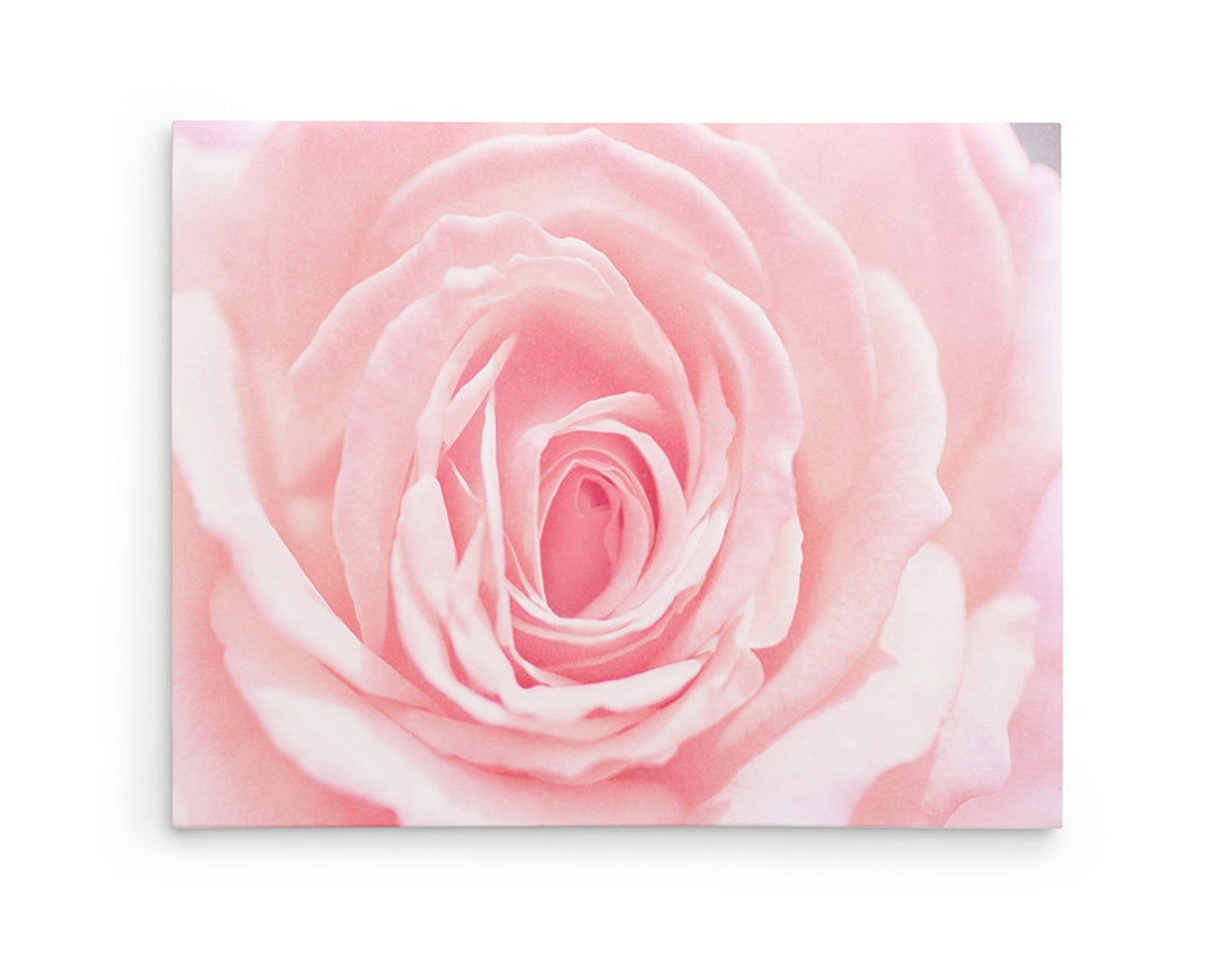 Pink Wall Decor Shabby Chic Wall Art Rose Petals Nature | Etsy